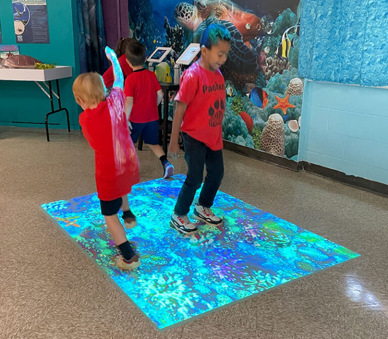 Home - MotionMagix creator of world-class interactive wall & floor ...